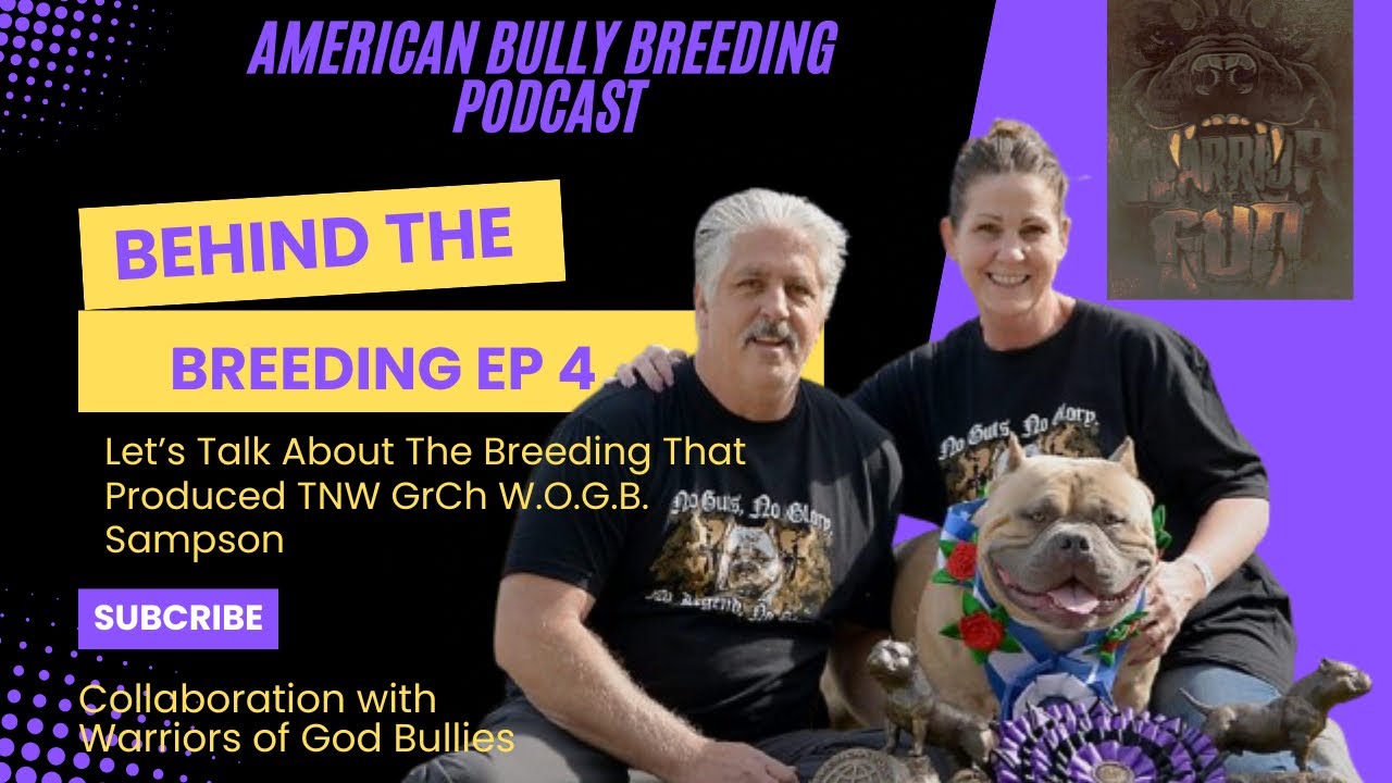 American Bully Podcast | Behind The Breeding Episode 4 | Let's Talk ...