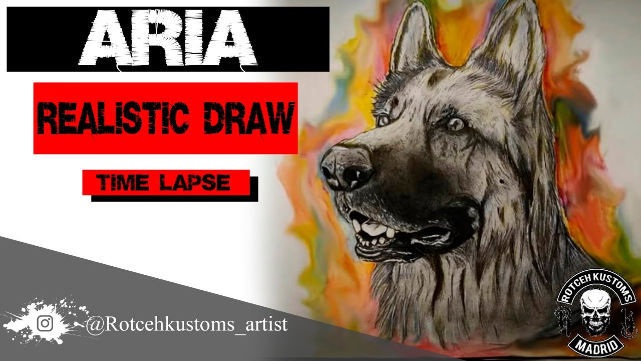 Dibujo Realista Homenaje A 🐺Aria🐺,1 Pastor Aleman Timelapse Drawing a ...