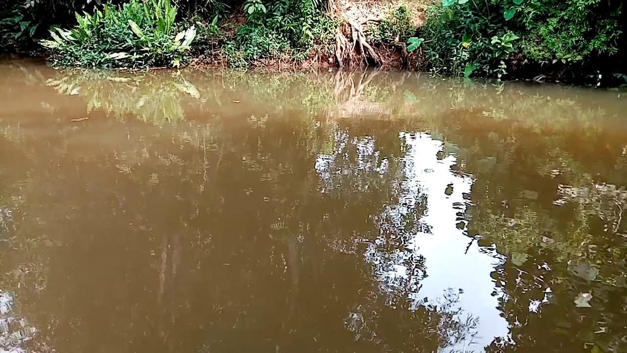 Seetha Alla👍👍 - YouTube