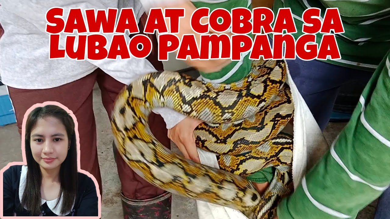 RODHARINGTUKLAW AT Princess Tuklaw NAGRESCUE SA LUBAO PAMPANGA I ANG ...