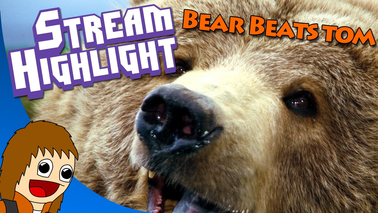 Bear Beats Tom (Stream Highlight) - YouTube