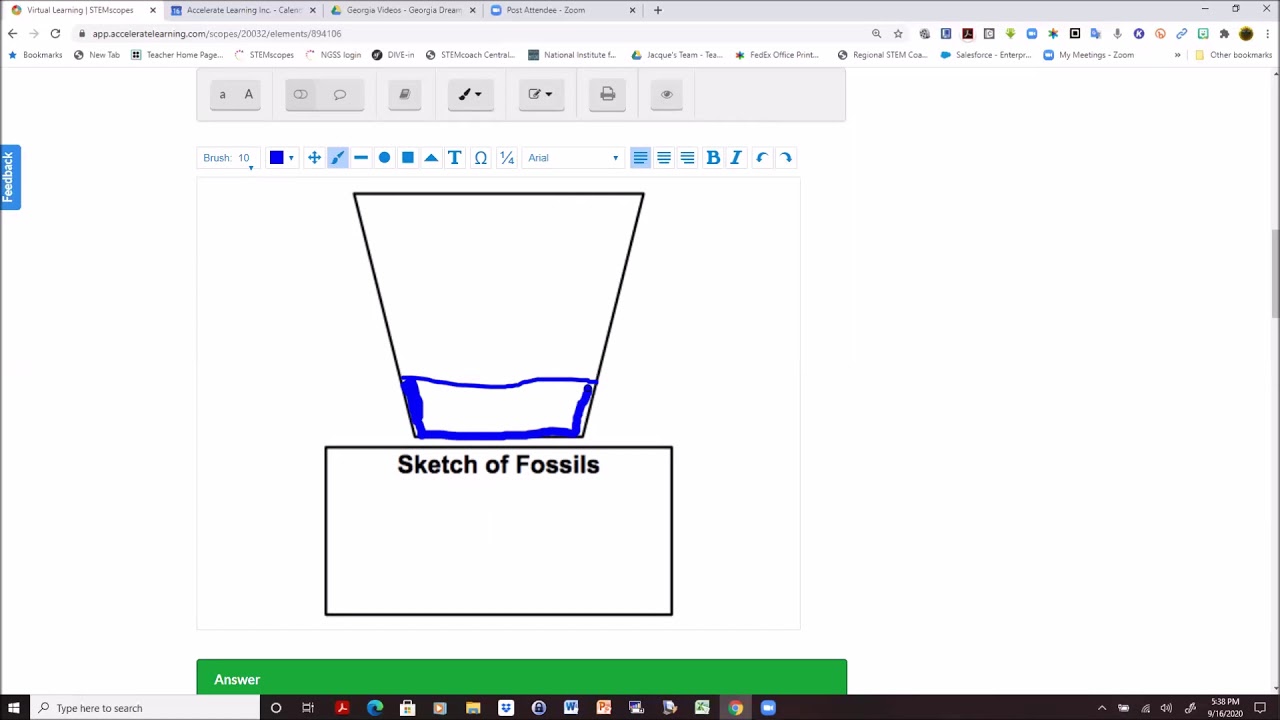 Georgia Virtual Learning Scopes with STEMscopes™ - YouTube