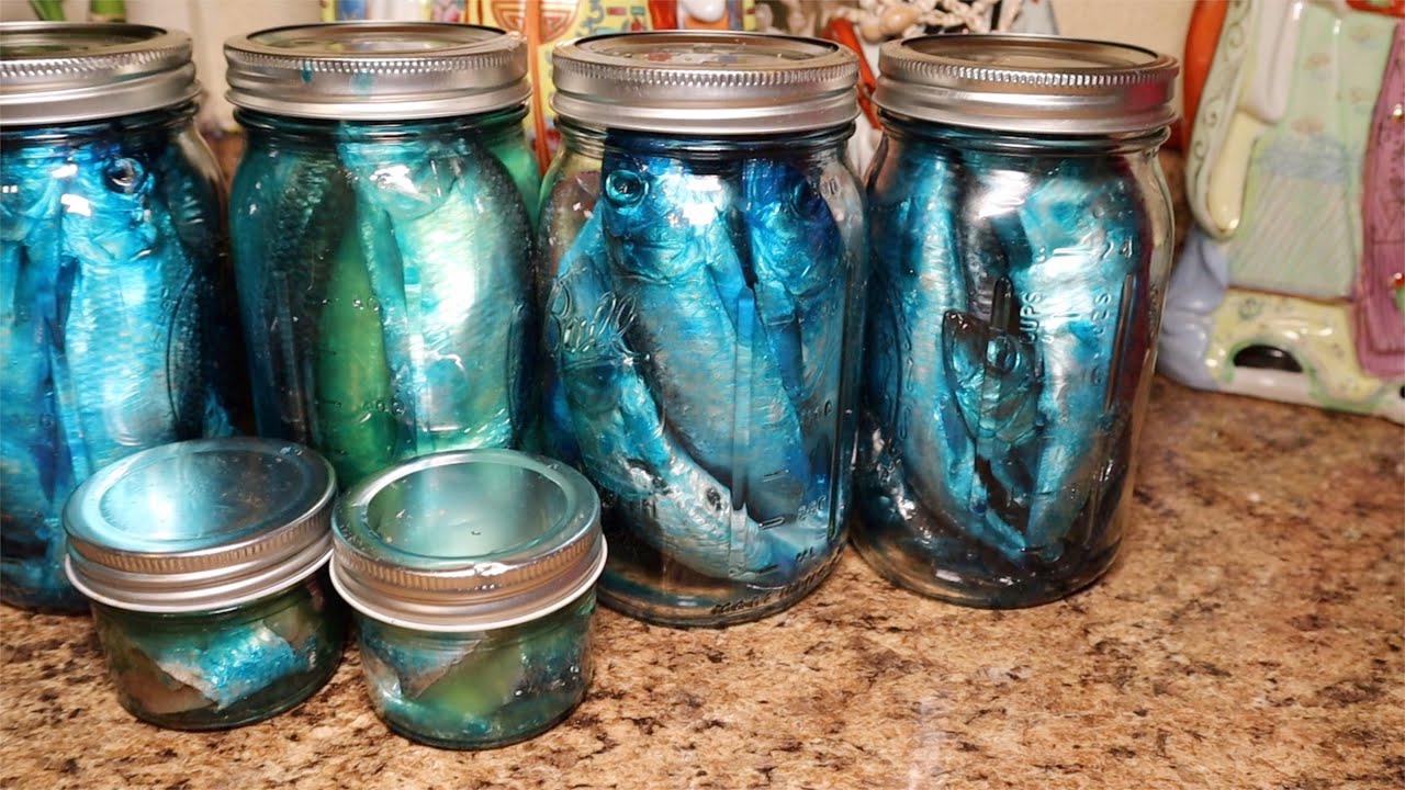 Best Fish Bait Recipes|And Free Gear Giveaway! How to Catch More Fish ...