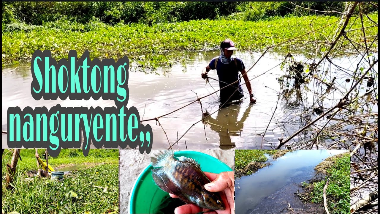 VLOG#50 SHOKTONG NANGURYENTE,, - YouTube