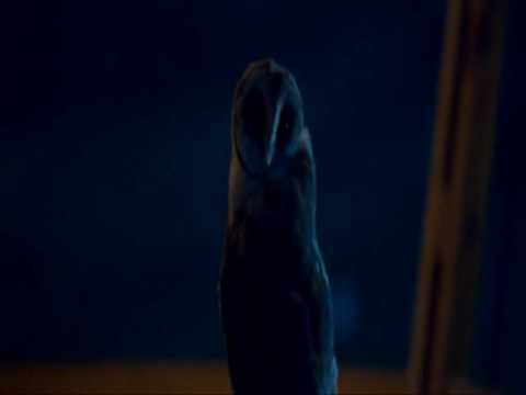 The Fourth Kind Owl scene