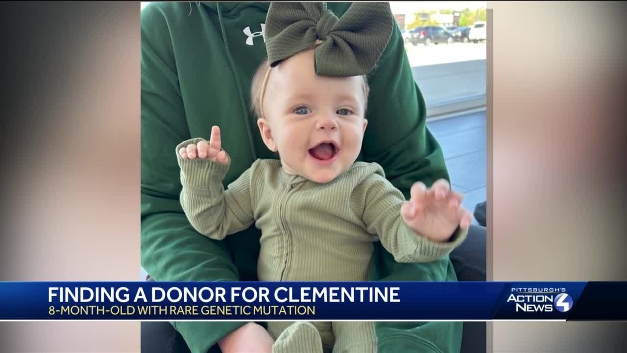 Local baby with rare genetic mutation needs blood stem cell transplant ...