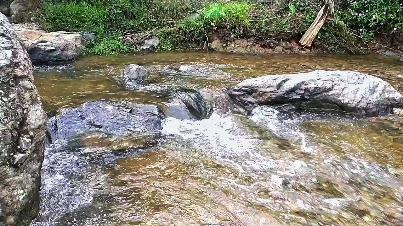 Healing River Whispers Embracing Stillness, Enriching the Soul ...
