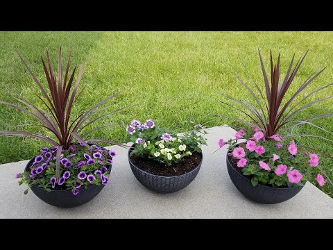 Planting in Hanging Baskets 2020 | Superbells, Supertunias, Superbena ...