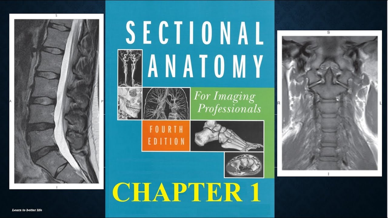 MRI Sectional Anatomy Chapter 1 - YouTube