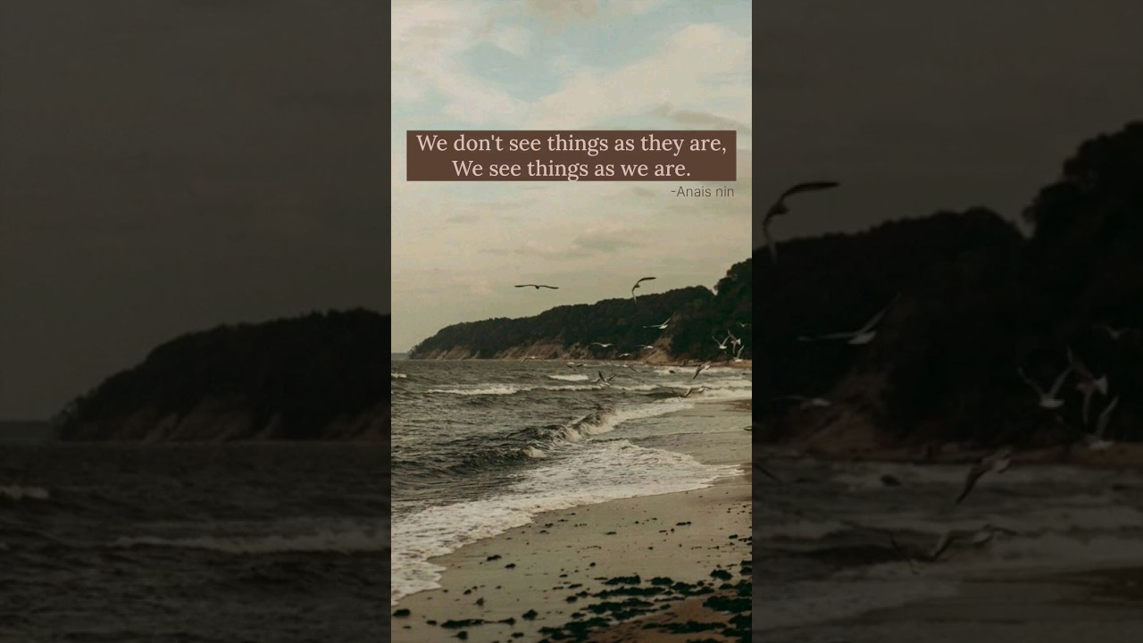 We see the world as we are ️ | #pointofview #opinionsmatter #quote # ...