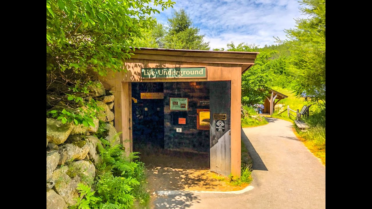 See Squam Lakes Natural Science Center in New Hampshire, a zoo/learning ...
