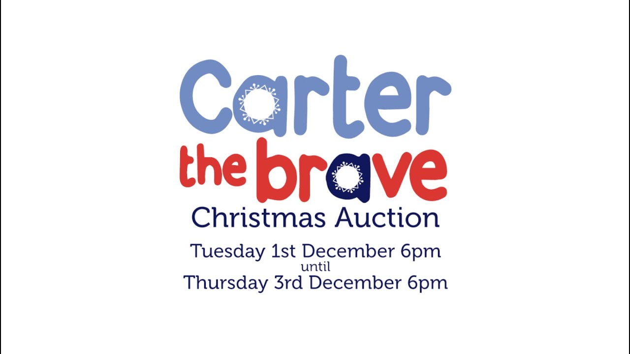 How to participate in The Carter The Brave Christmas Auction - YouTube