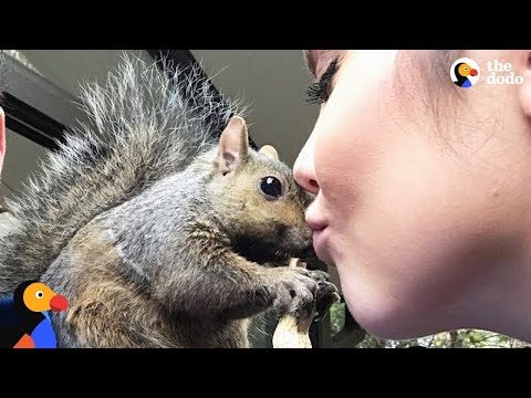 save animals and earth WhatsApp status. Facebook status Instagram story