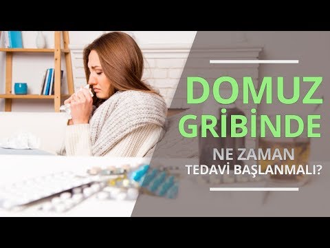 Domuz Gribinde Ne Zaman Tedavi Başlanmalıdır? - Uzm. Dr. Kürşat Epöztürk