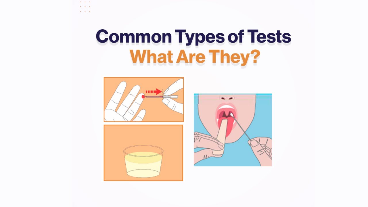 Common Types Of Tests What Are They YouTube Common Types Of Tests What Are They YouTube