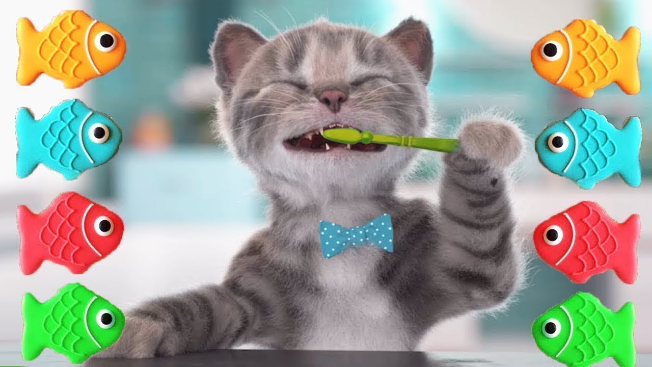 Lindo Gatito Preescolar - Dibujos Animados Infantiles | Nuevo Gatito ...