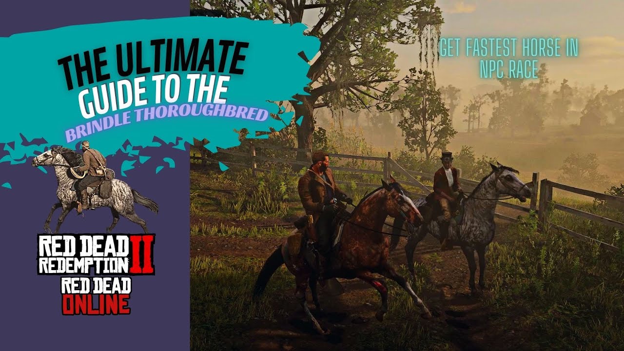 Ultimate Guide to Finding the Brindle Thoroughbred • Fastest Horse in ...