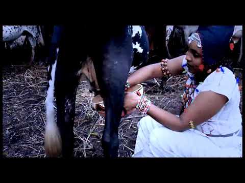 Fadi kippo Dourobe lesdi Africa(2)