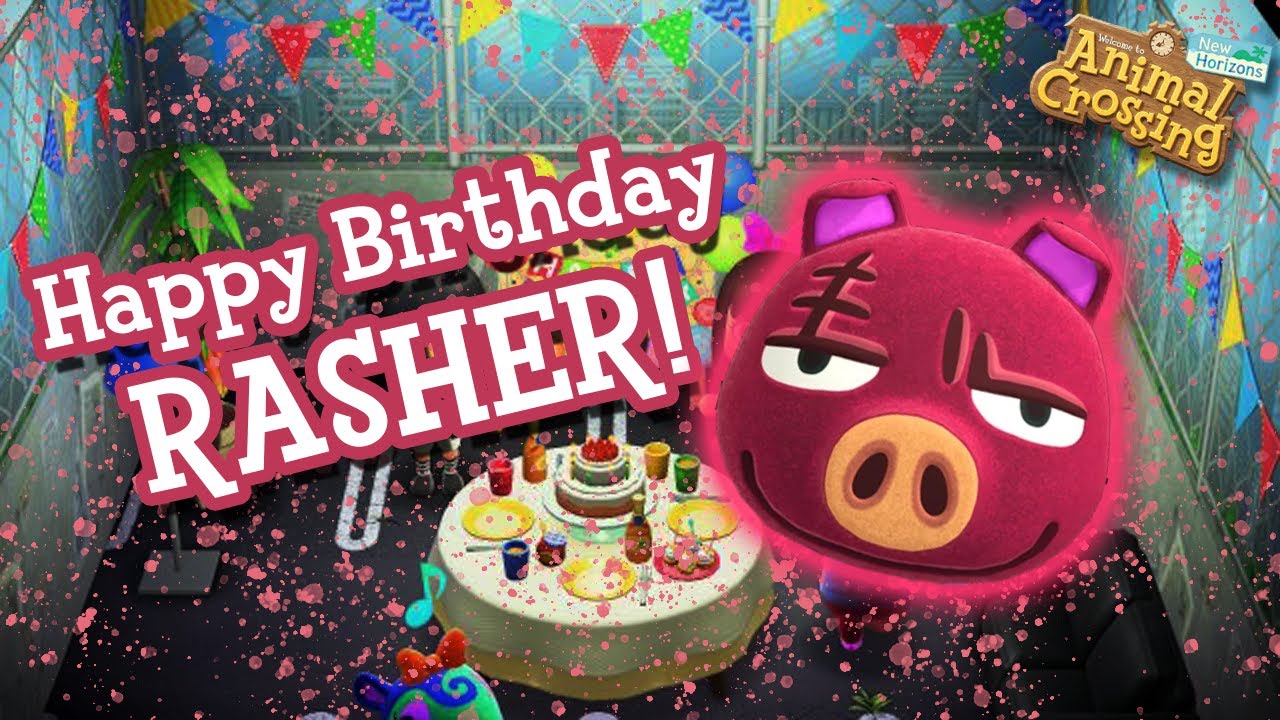 Its Rasher's Birthday! Animal Crossing New Horizons - YouTube