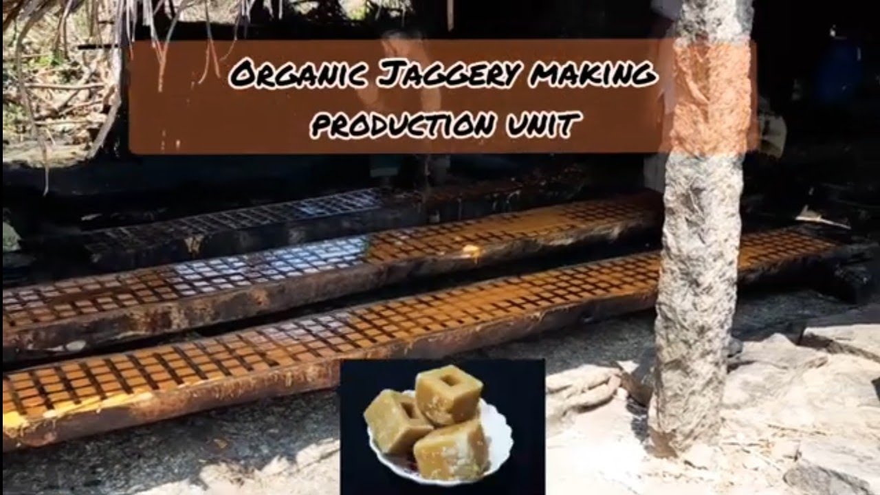Organic Jaggery making production unit|How Jaggery is made from ...