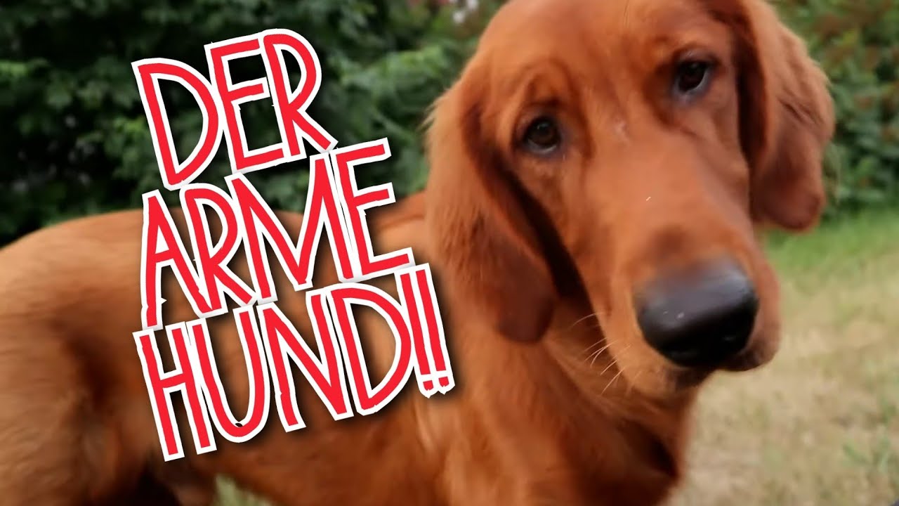 Wir müssen ein Hühnchen rupfen! - UHiK #170 - YouTube