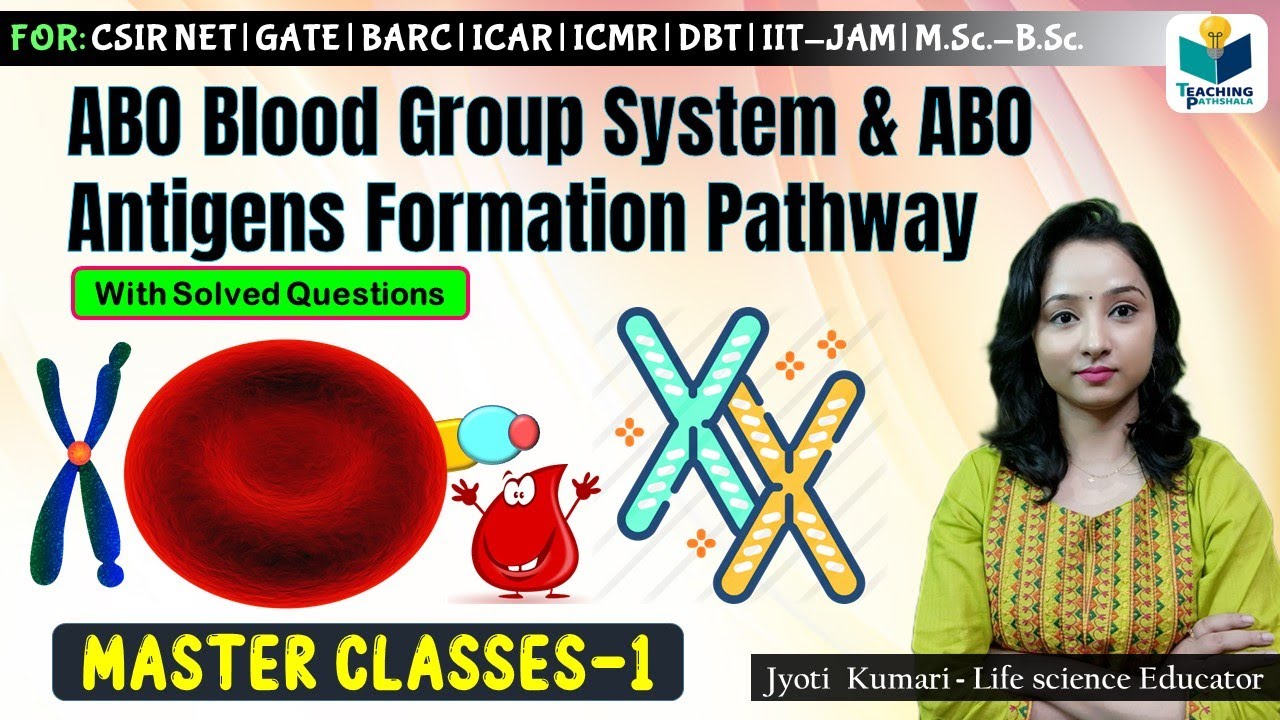 ABO BLOOD GROUP SYSTEM || Blood Types & ABO Antigens formation ...