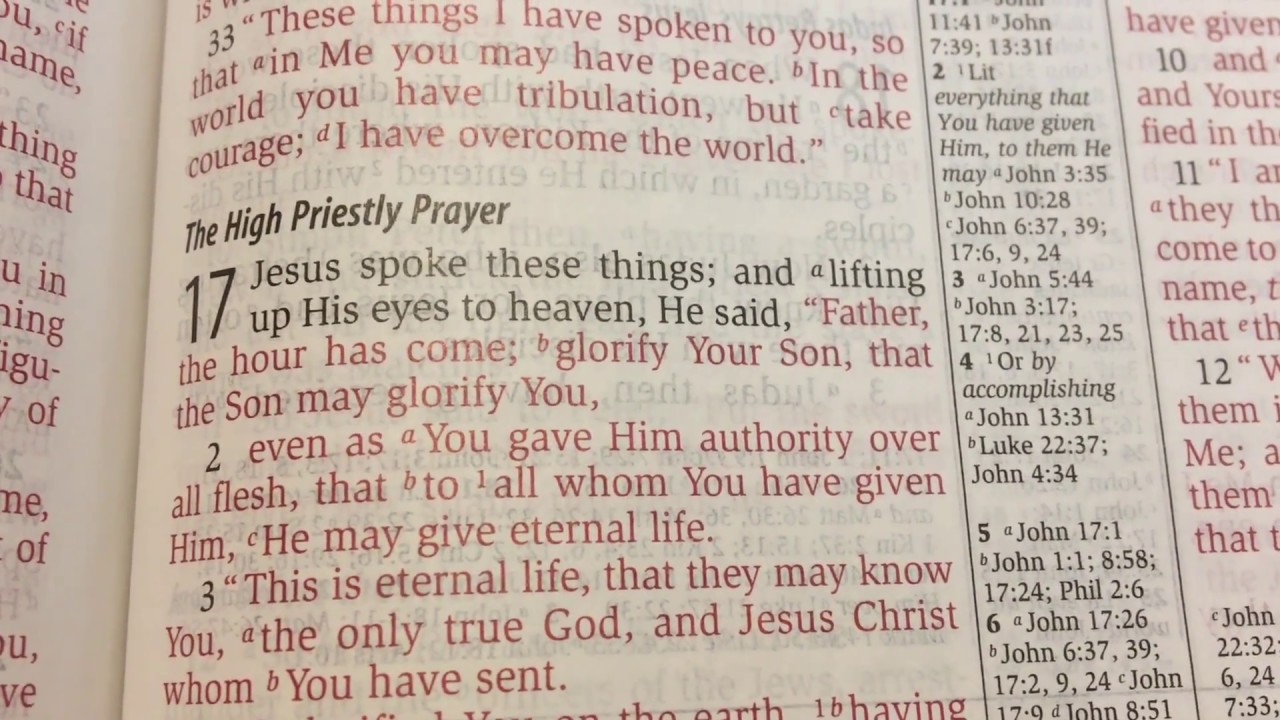 The Gospel According To John Chapter 17 YouTube
