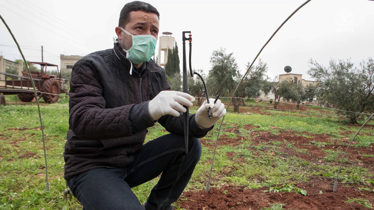 FAO Representative in Syria on the challenges & solutions applied to ...