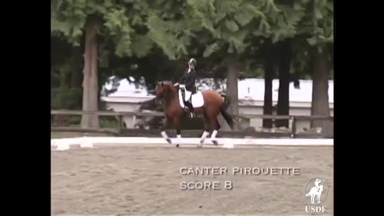 Working Canter Pirouette Directives with Samples and Scores - YouTube