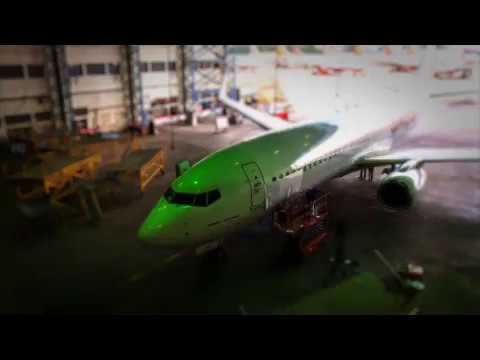 Hexa Pulls the plane - YouTube
