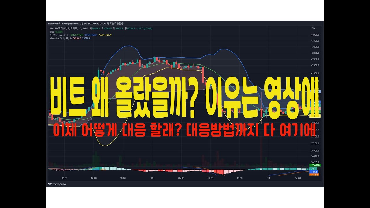 마동석코인 마코 비트 왜 올랐을까 이유는 영상에 이제 대응을 어떻게 할래 대응방법까지 여기에 이더리움 비트코인가이드