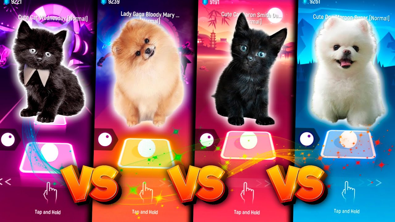 CUTE CAT CUTE DOG LADY GAGA BLOODY MARY VS CUTE CAT AARON SMITH DANCIN ...