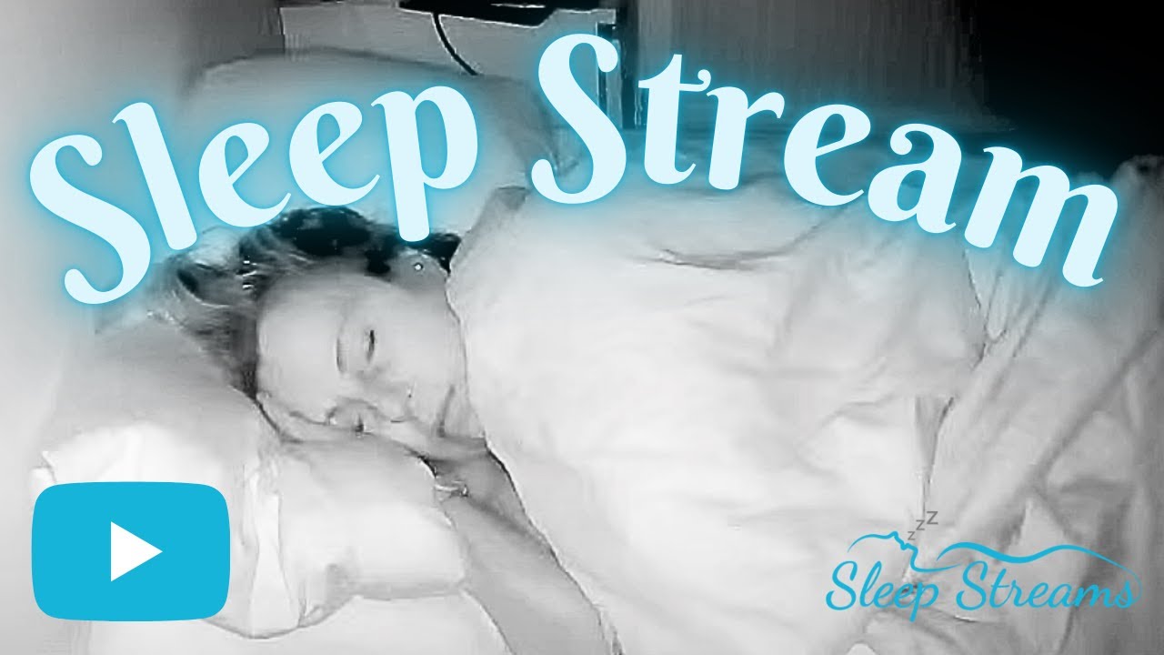 ASMR Calm Sleep/Snore Stream with Puppies - YouTube