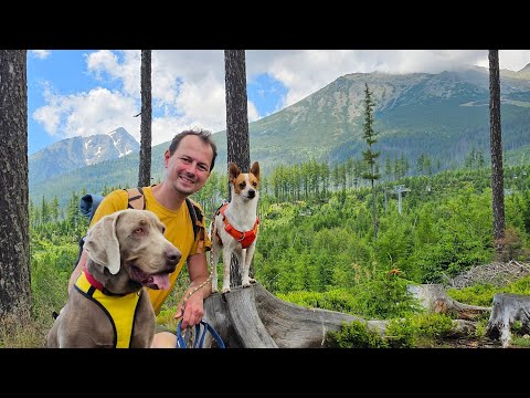 Pampi skúša lanovky v Tatrách časť 2.