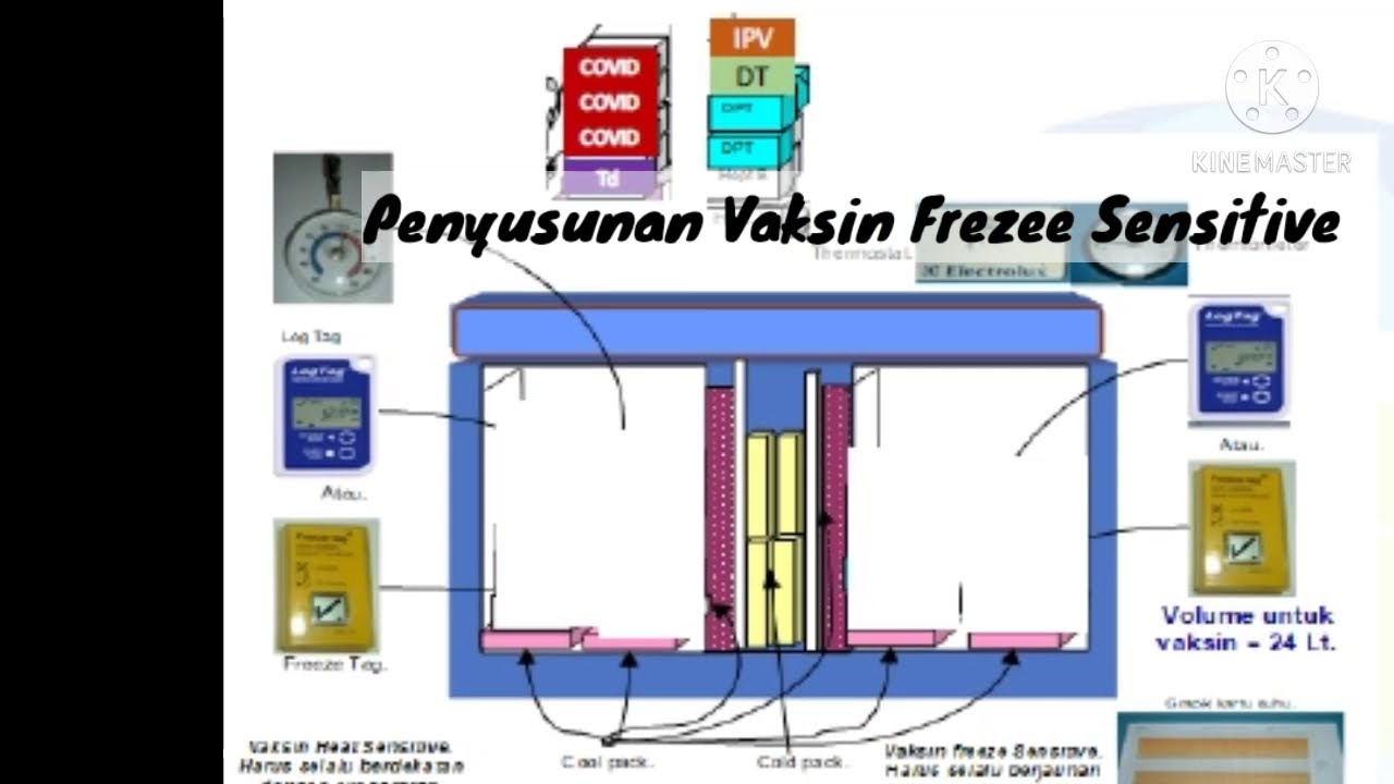 Simulasi Penataan Vaksin dalam Vaccine Refrigerator - YouTube