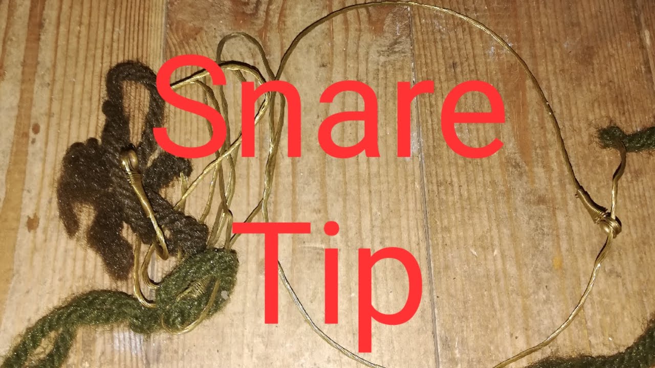 Bushcraft Skills. Simples. Snares. Traps. Outdoor Skills. Survival ...