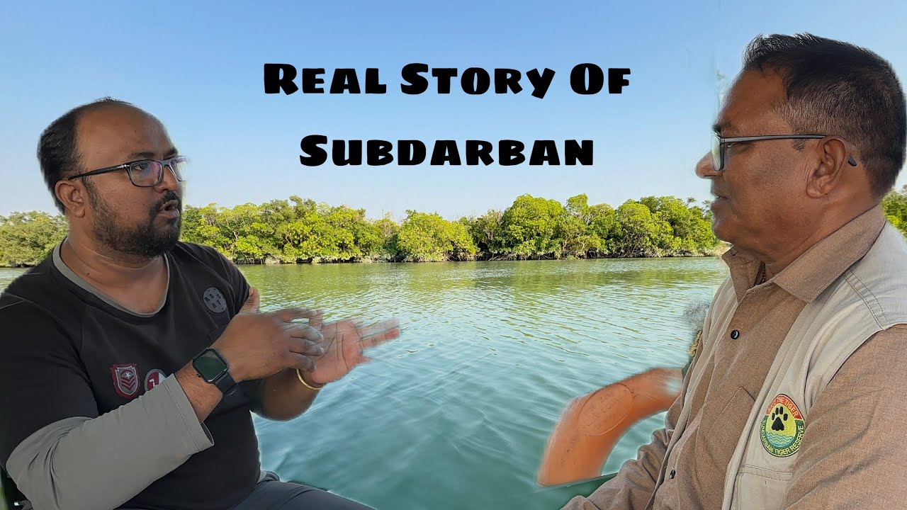 Real Story Of Sundarban #travel #travelblogger #sundarban # ...