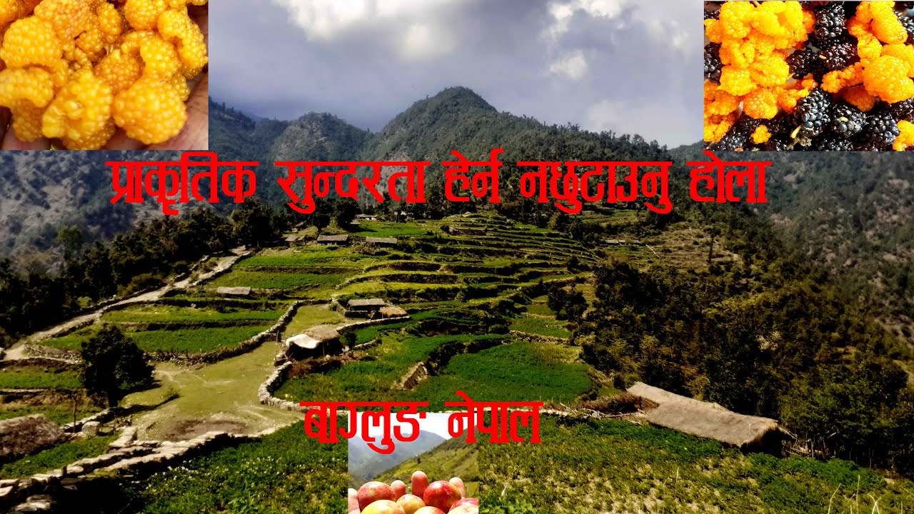 NATURE || VLOG || BACHA BANDHAN SONGS || GBS VLOG || 2023 - YouTube