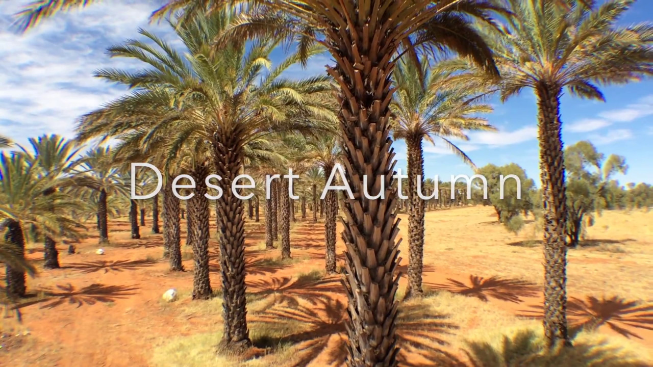 Desert Autumn - YouTube