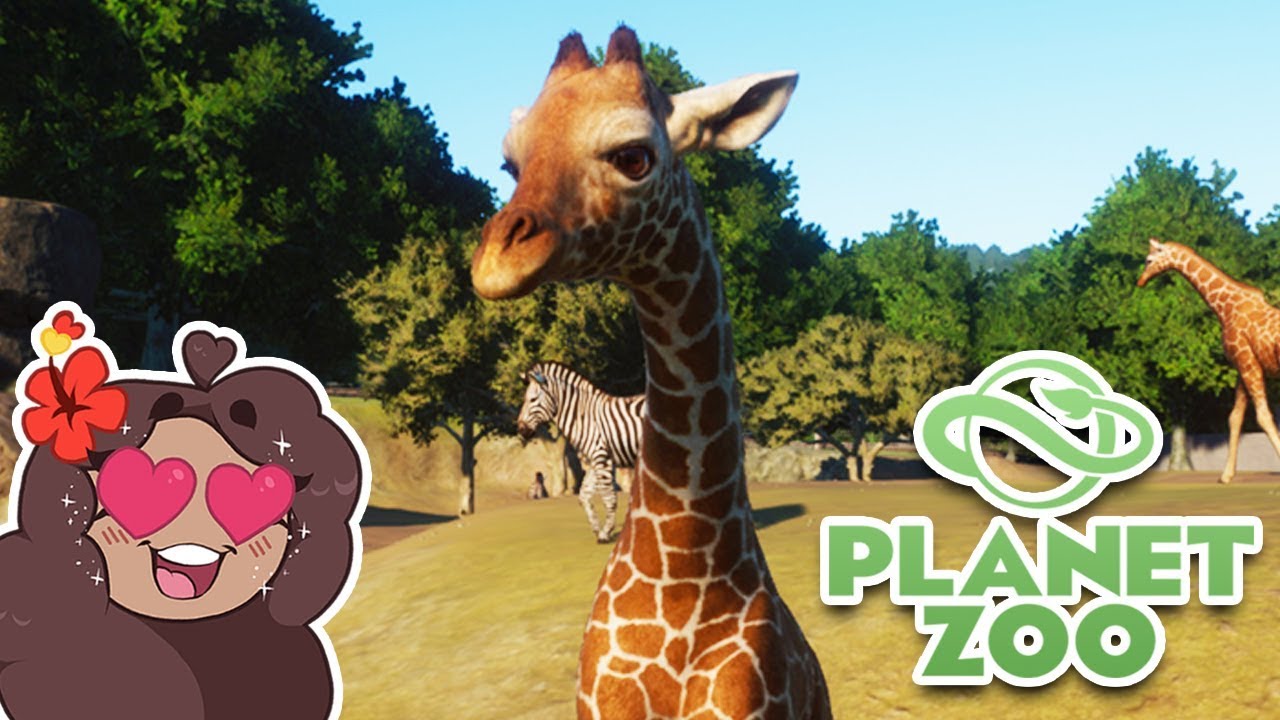 Birth of a BABY GIRAFFE!! 🦒 Planet Zoo BETA • #10 - YouTube