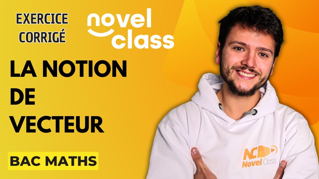 BAC : COMPRENDRE LA NOTION DE VECTEUR - YouTube