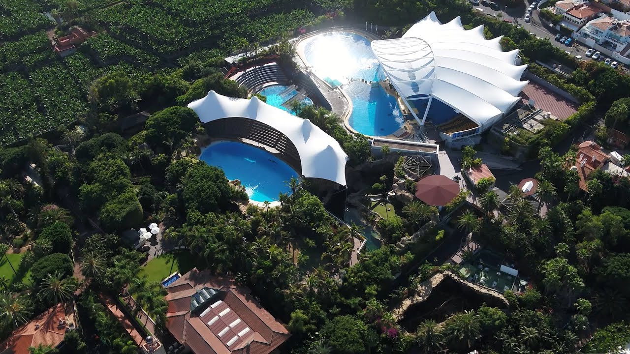 Looking back at 2021 | Loro Parque - YouTube