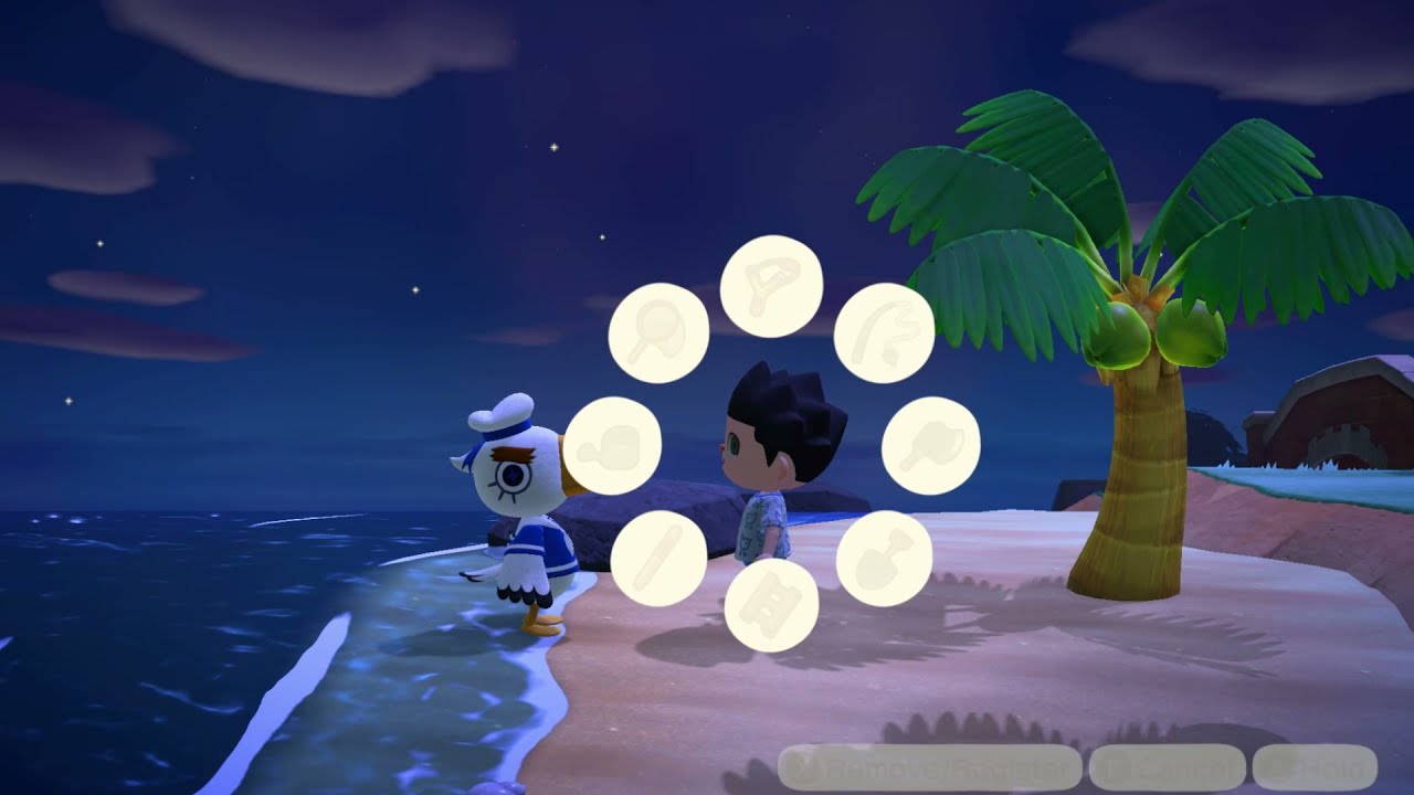 Animal Crossing: New Horizons - Day 325: Seagull 101 - YouTube