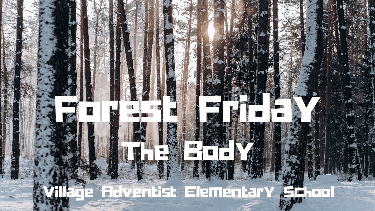 Forest Friday - The Body - Jan '23 - YouTube