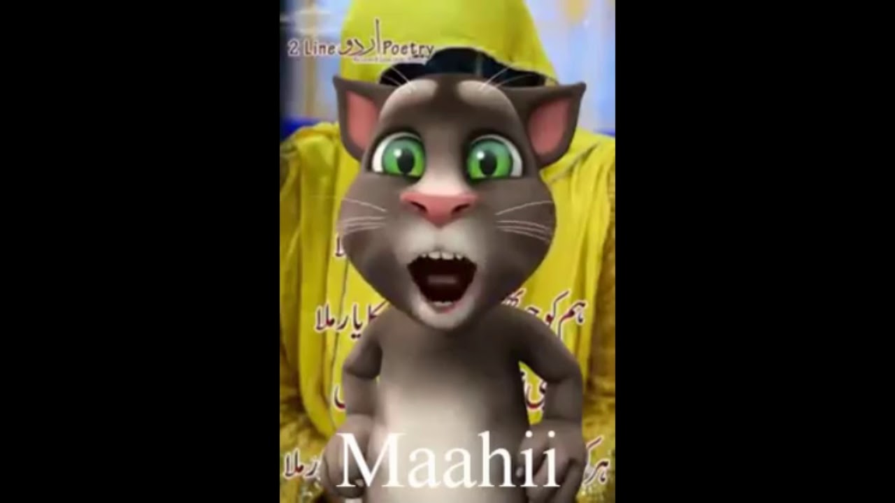funny tom cat song maahii - YouTube