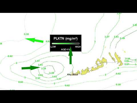 How to display the plankton features | Fish Mapping | SiriusXM Marine ...