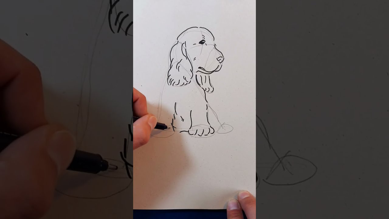 DIBUJA un PERRO 🐕 Paso a Paso - YouTube