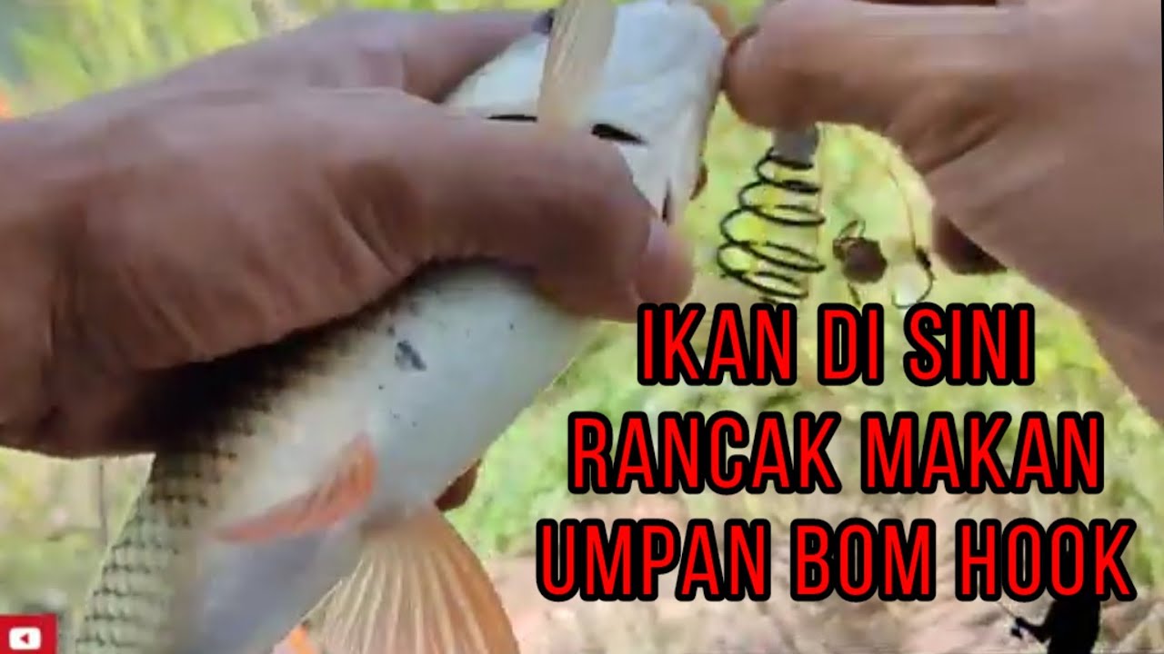 mancing ikan kecil d tasik - YouTube