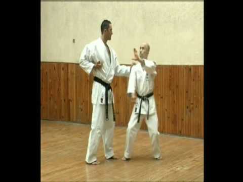 Ippon-ken - Goldfinger - YouTube