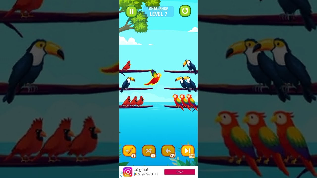 Bird sorting Game. - YouTube